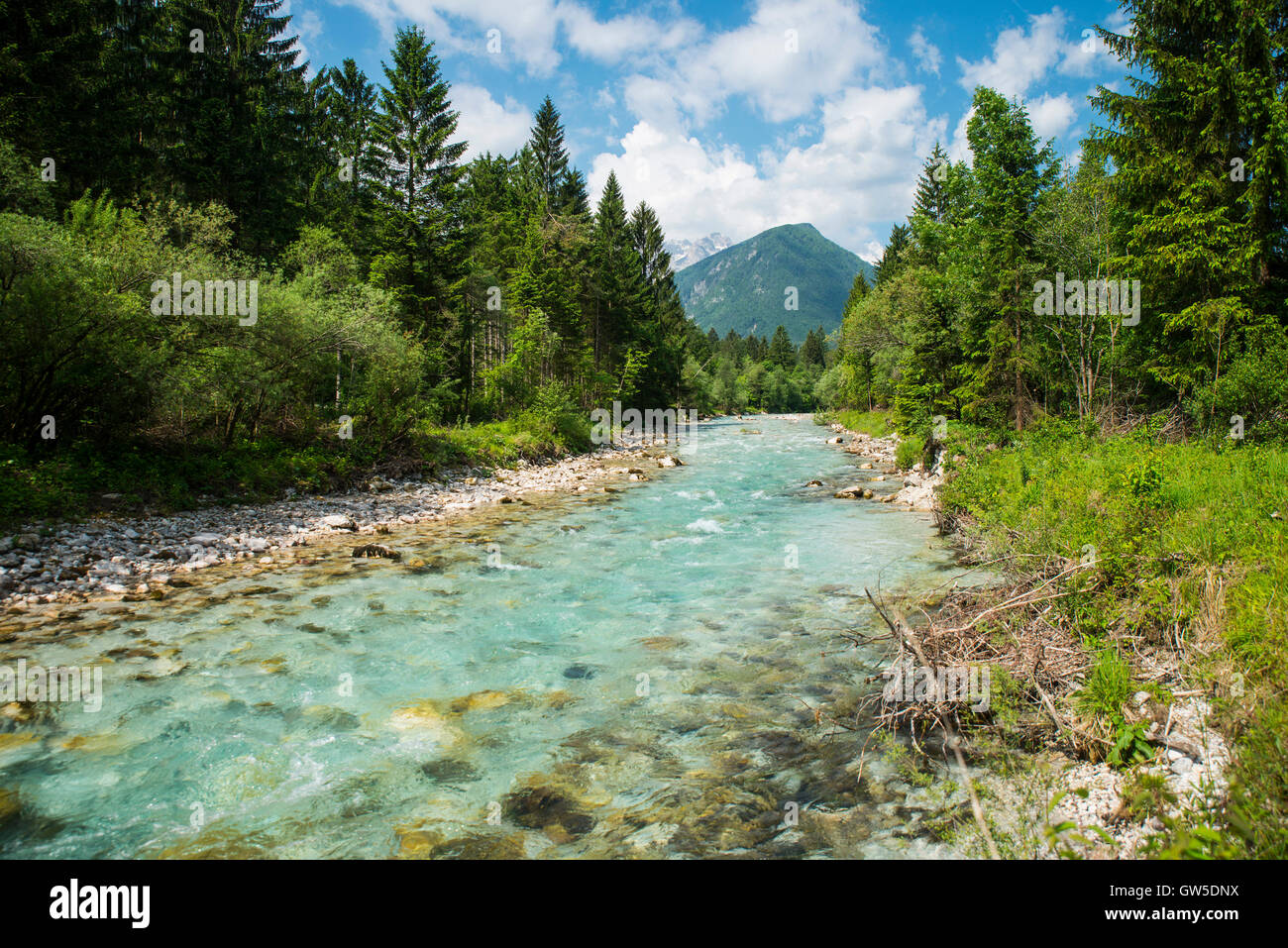 Sava Dolinka river, Slovenia Stock Photo - Alamy