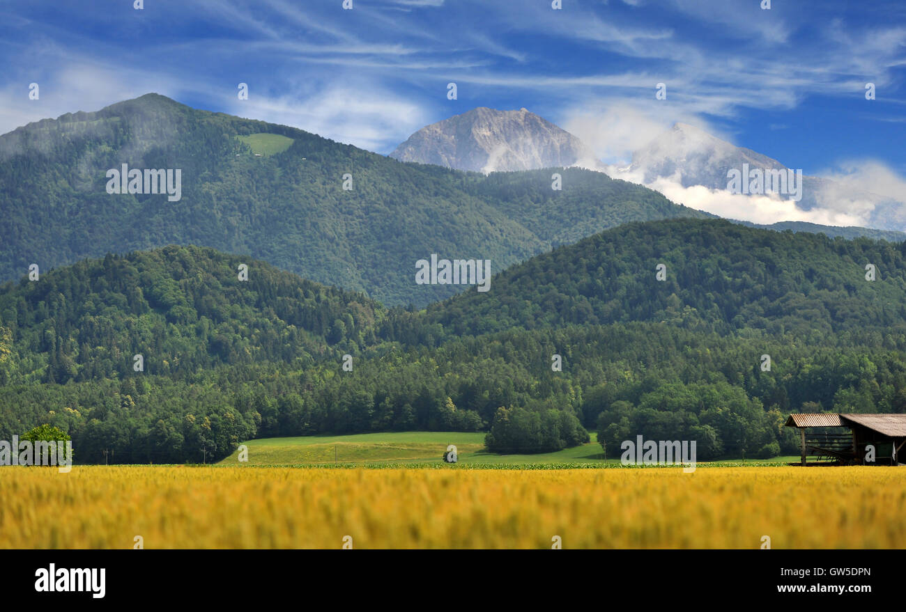Gorenjska landscape, Slovenia Stock Photo - Alamy