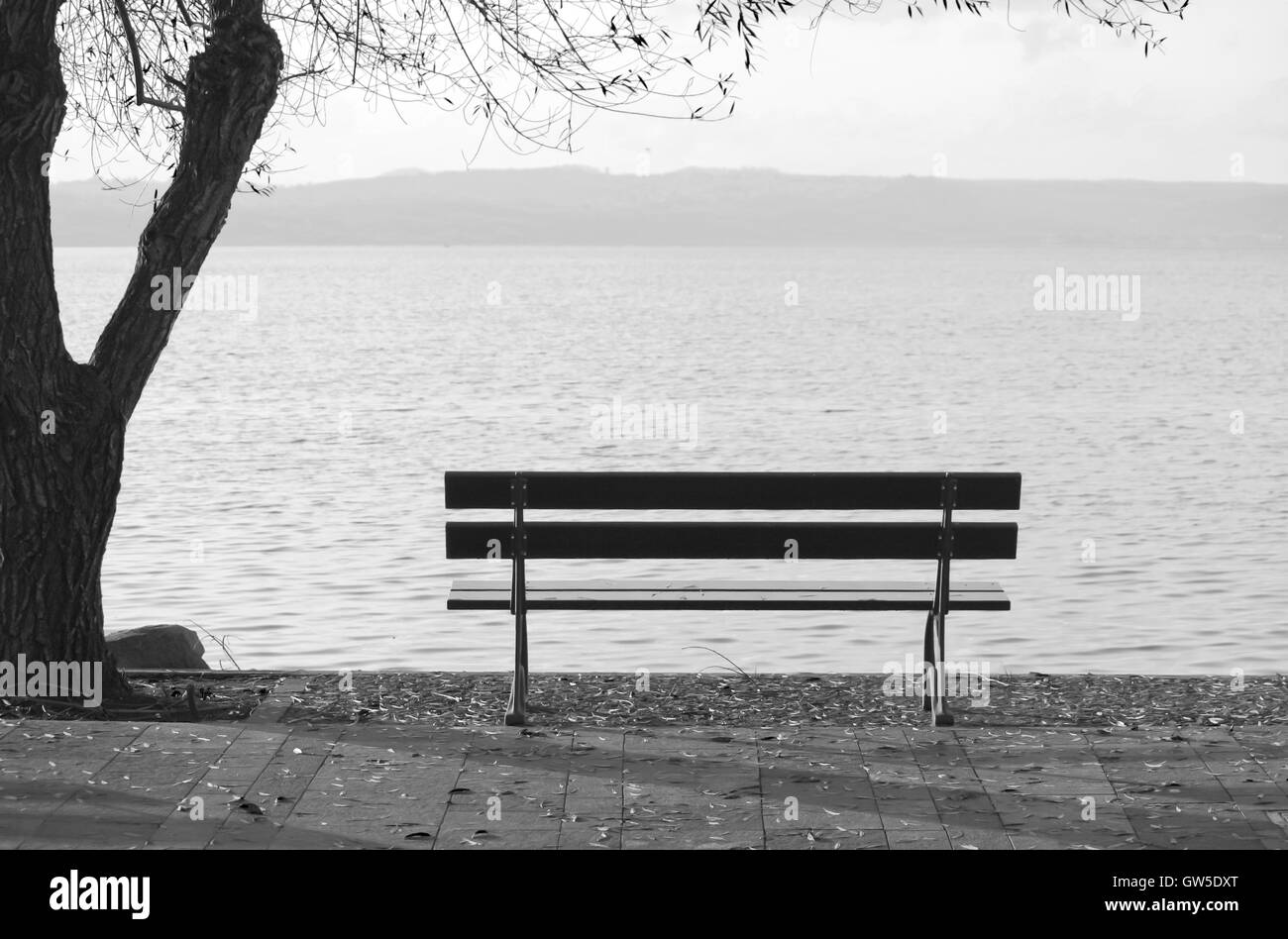 Empty bench Black and White Stock Photos & Images - Alamy
