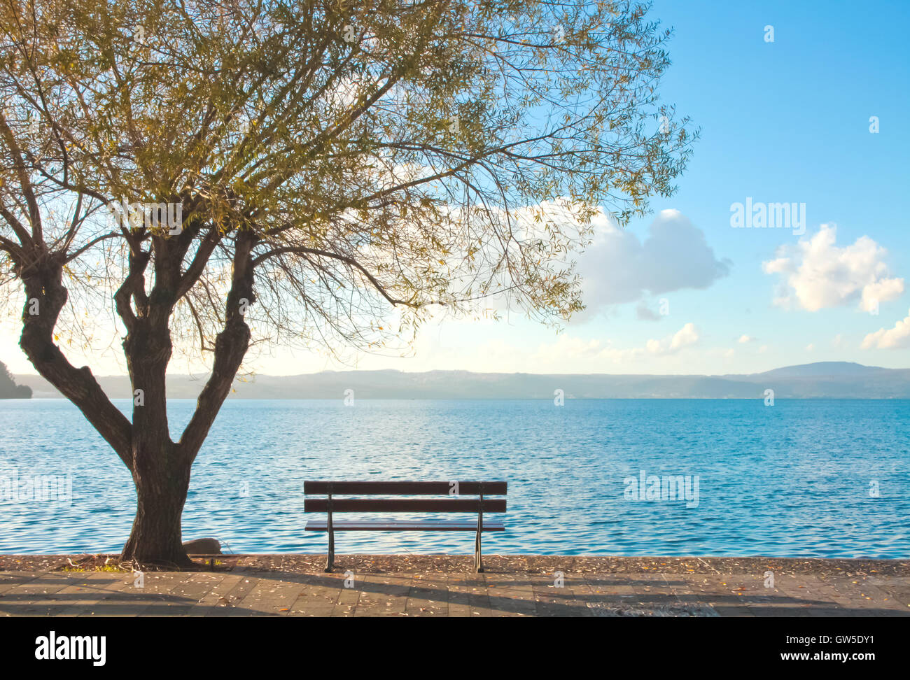 Empty bench and tree with lake sight Stock Photo - Alamy