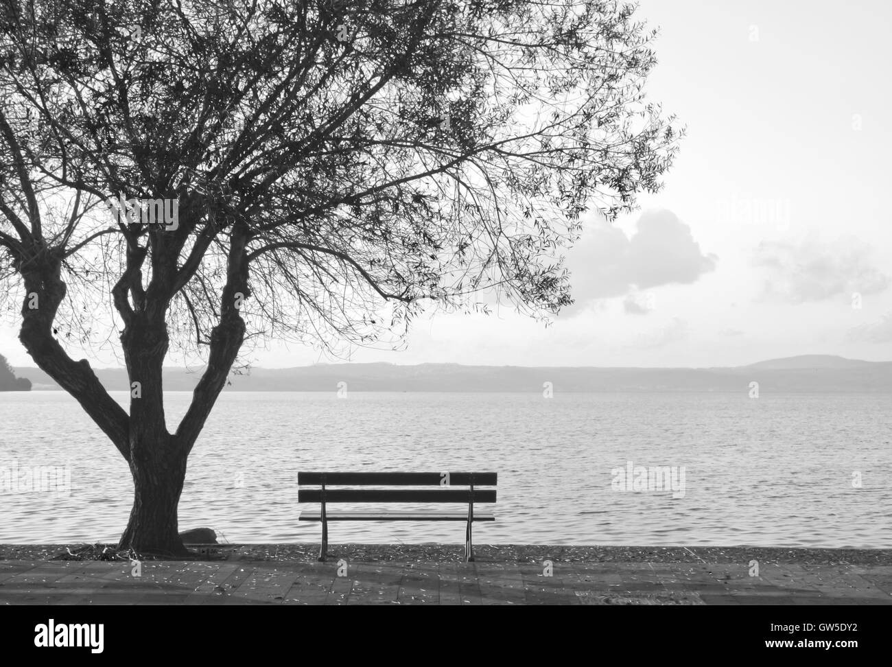 Lake tree water Black and White Stock Photos & Images - Alamy