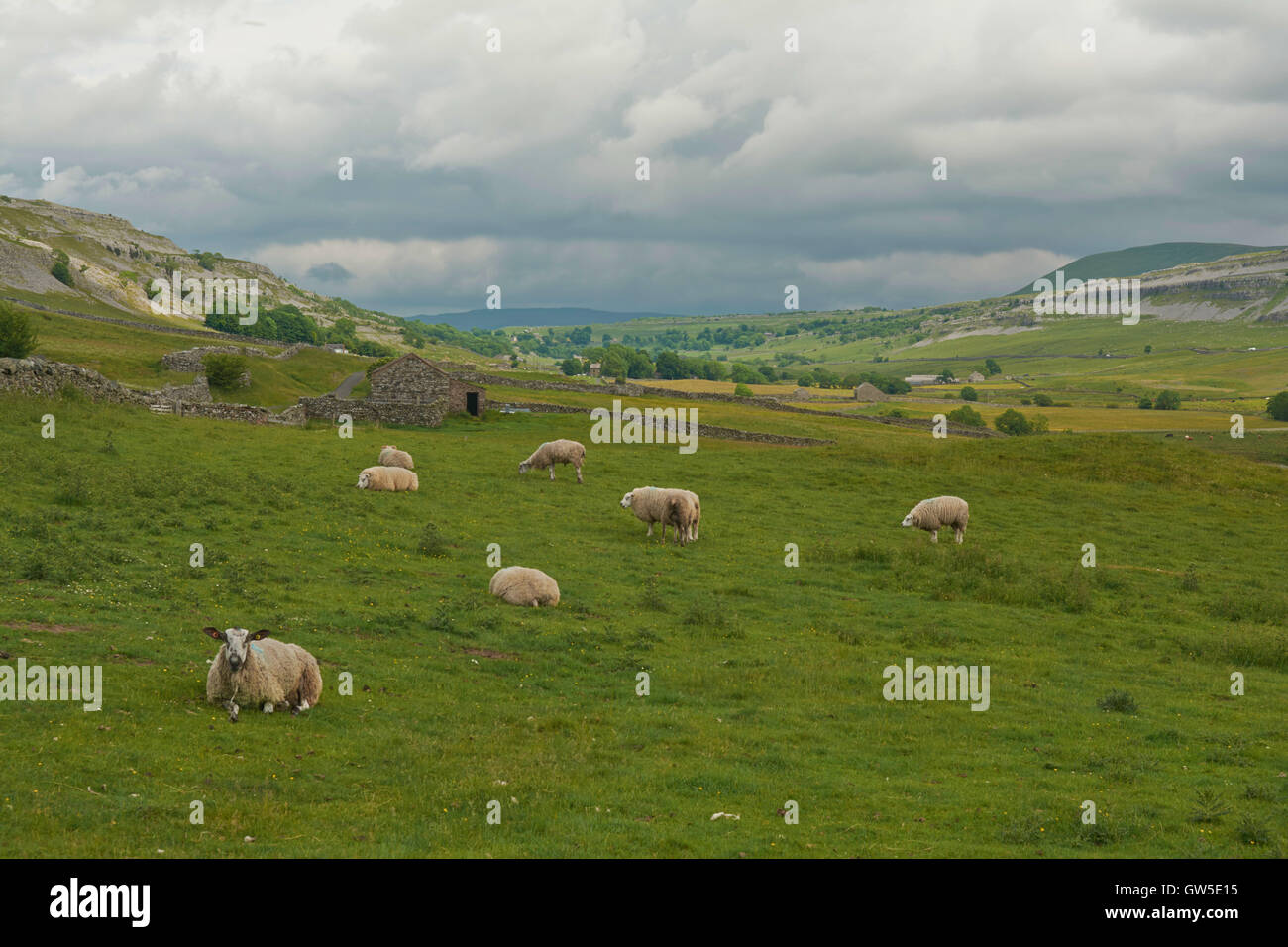 Scenic views near to Ingleton - Yorkshire Dales, England, UK Stock ...