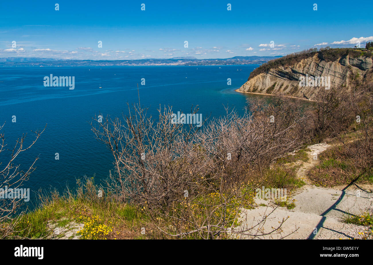 Strunjan cliff, Slovenia Stock Photo - Alamy