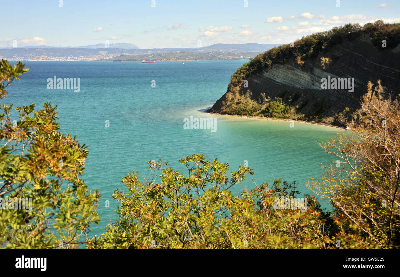Strunjan cliff, Slovenia Stock Photo - Alamy