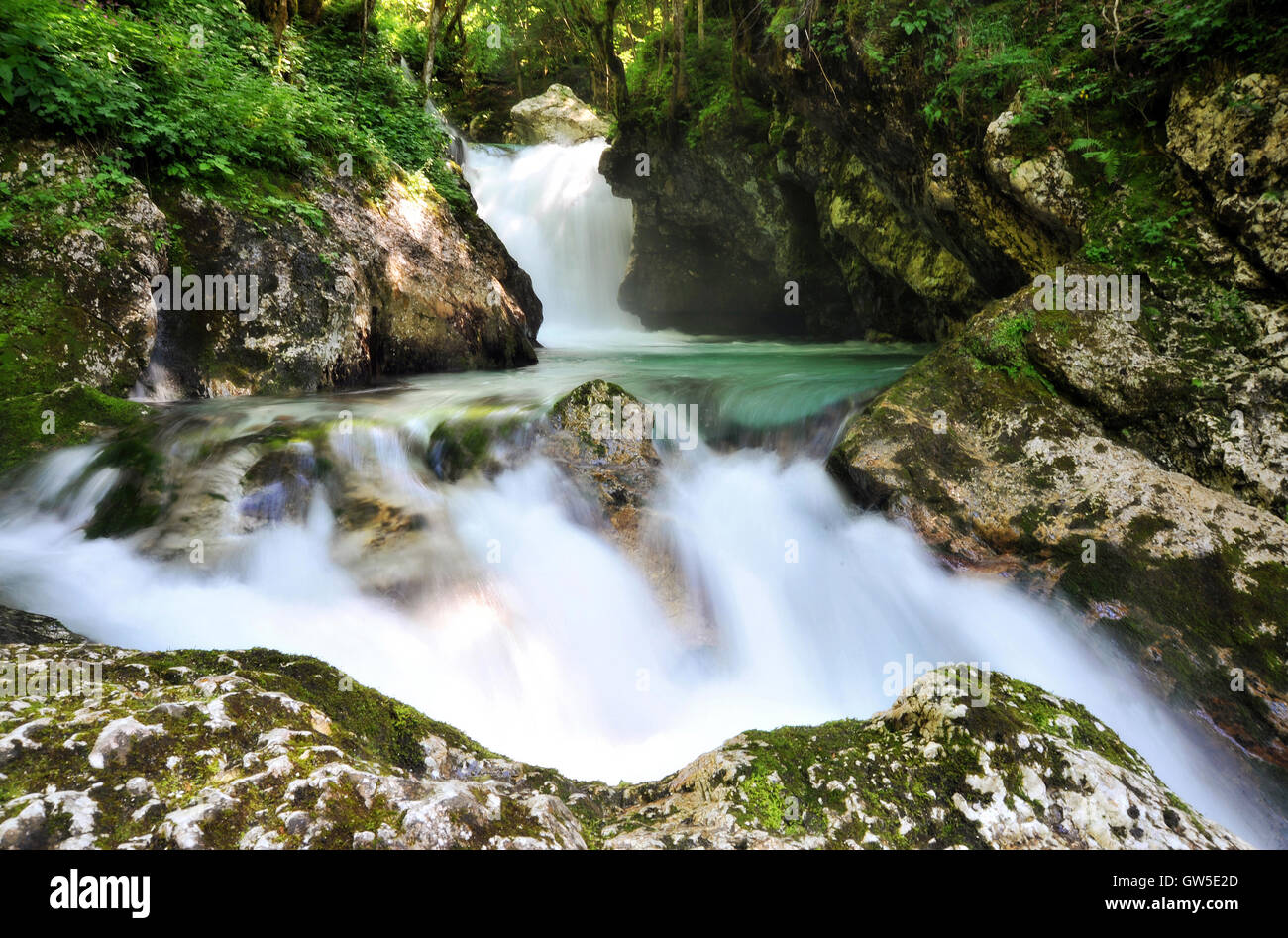 Sunikov vodni gaj hi-res stock photography and images - Alamy