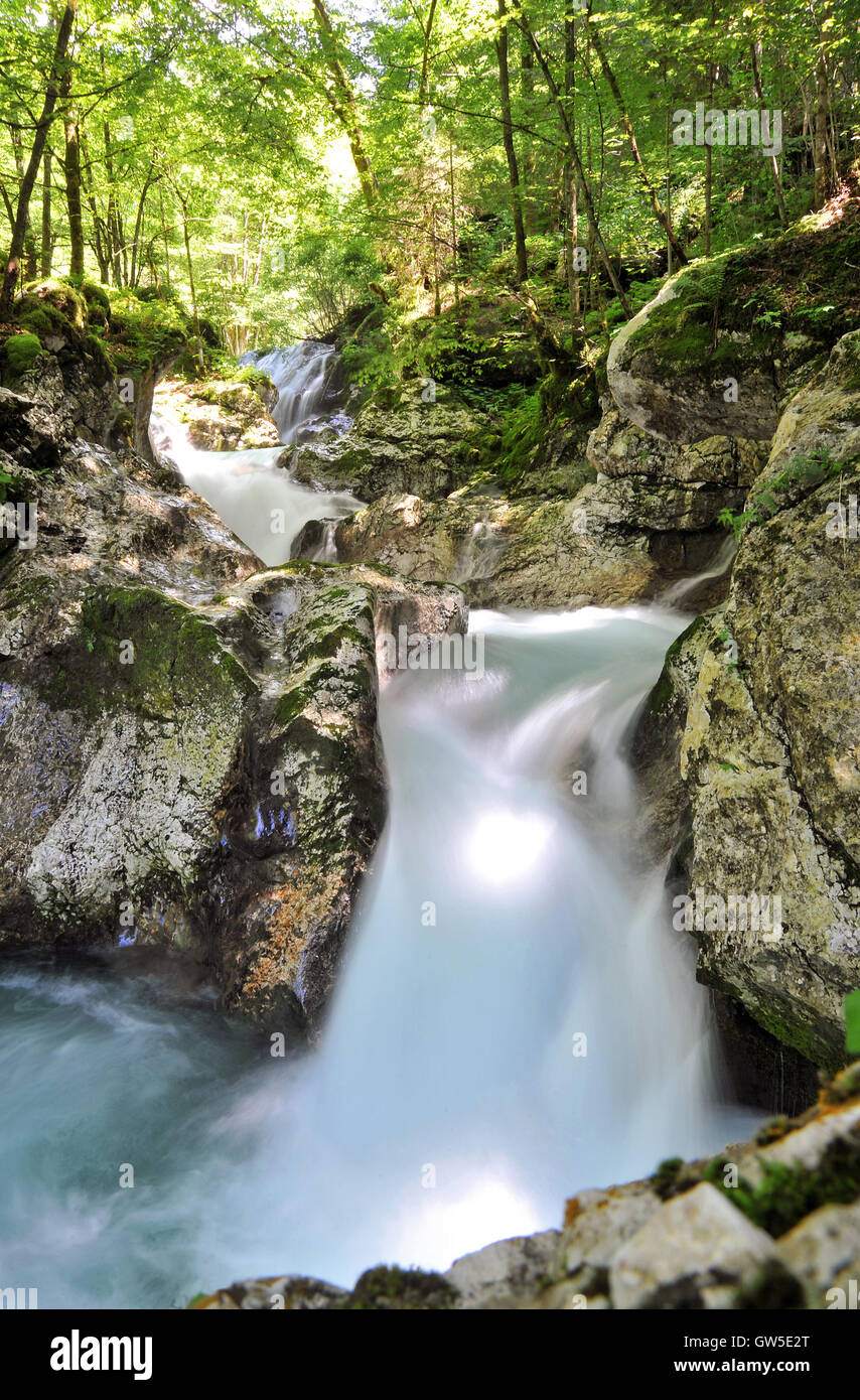 Sunik water, hurst, Lepena valley Stock Photo - Alamy