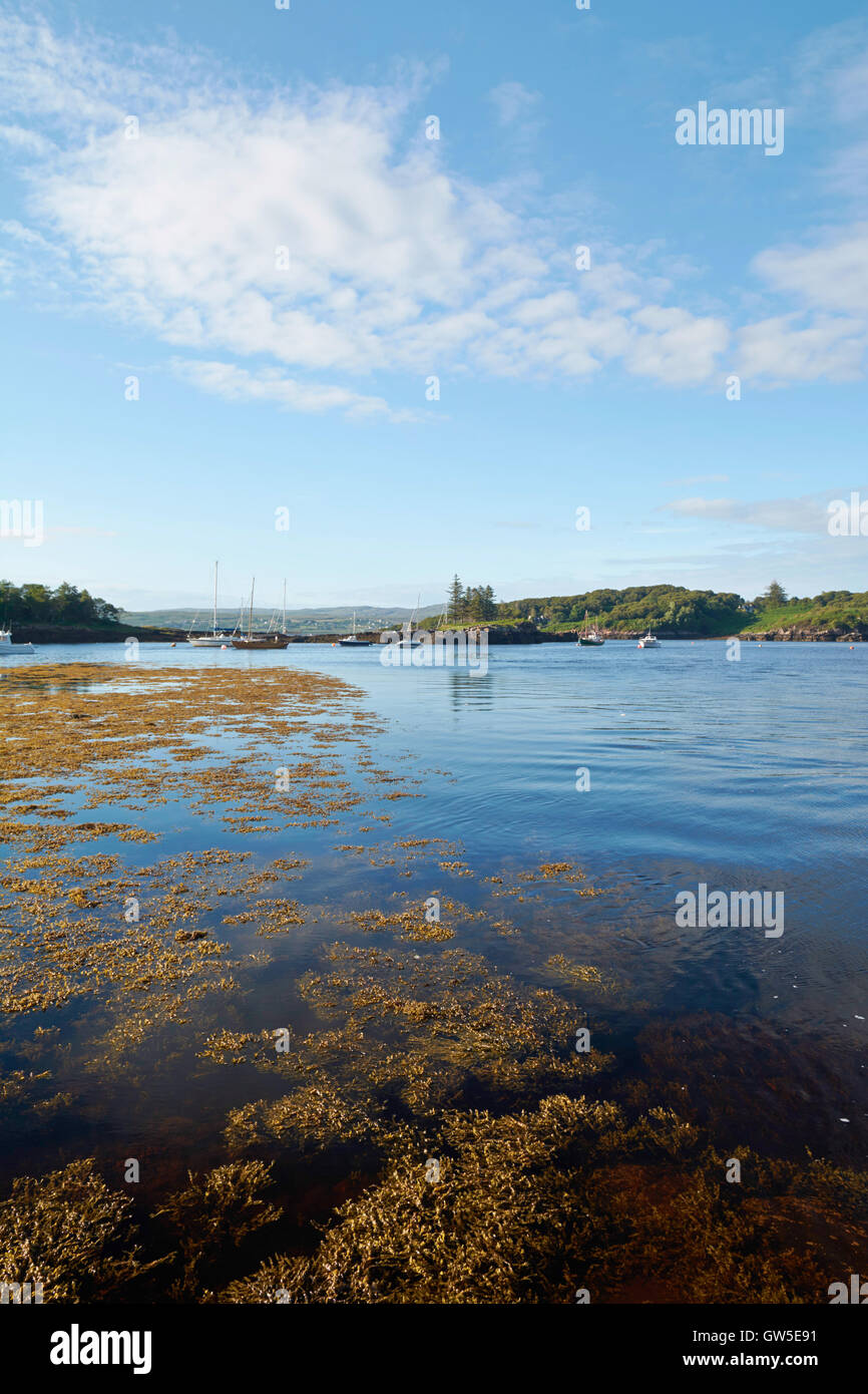 Loch Gairloch, Badachro, Scottish Highlands, UK Stock Photo - Alamy