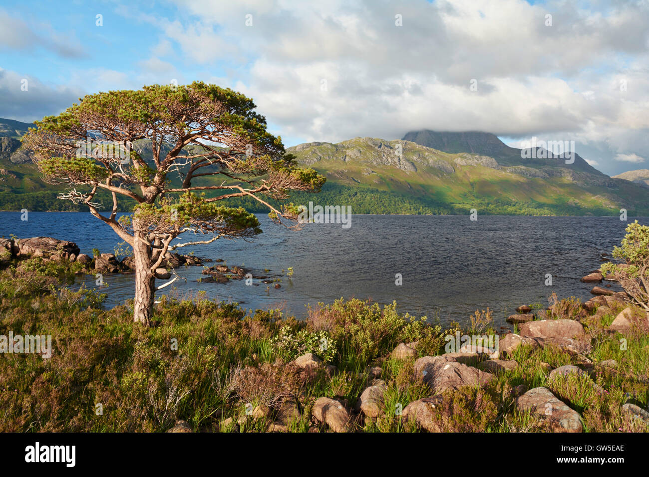 Loch Maree - Scottish Highlands, UK Stock Photo - Alamy