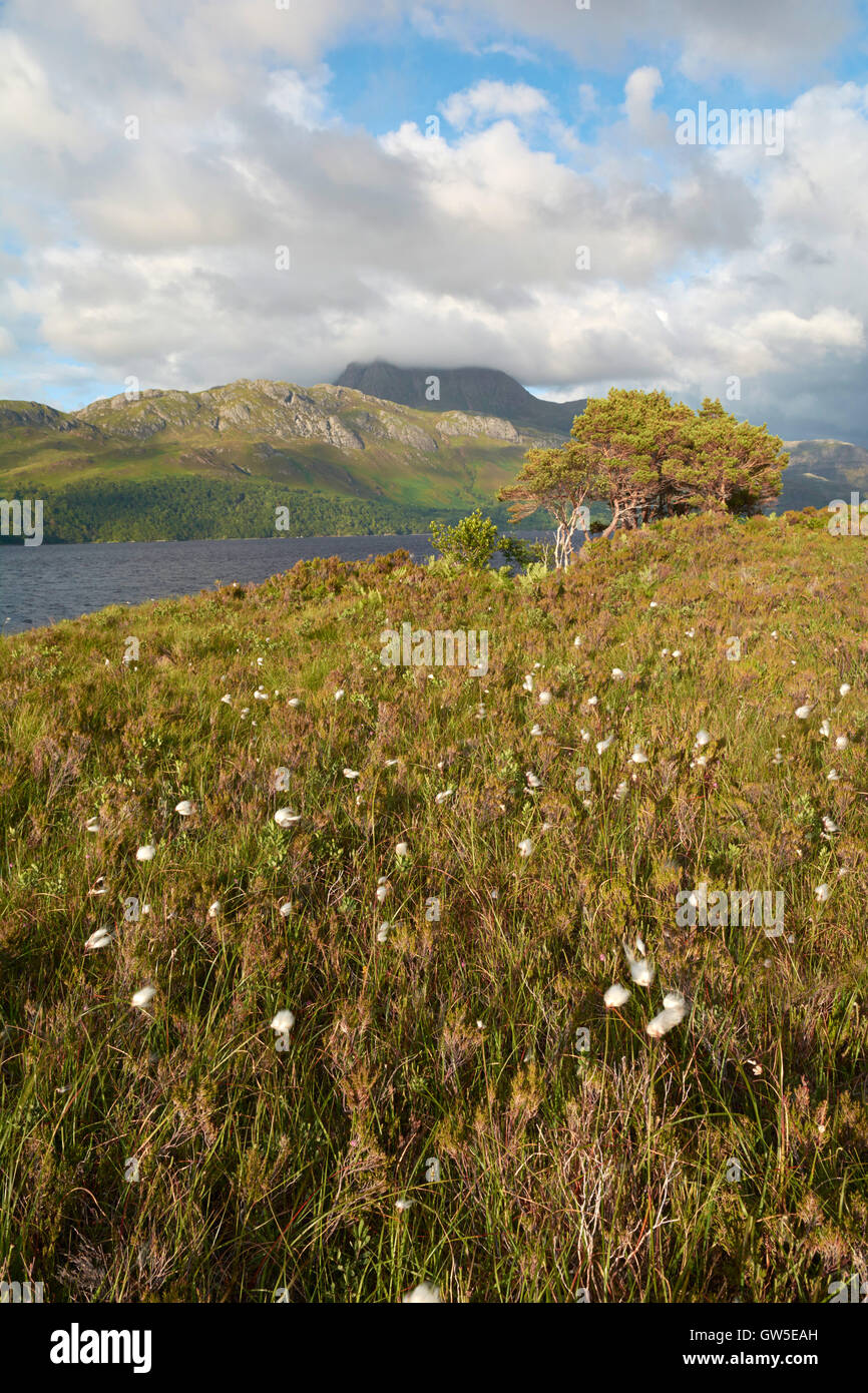 Loch Maree - Scottish Highlands, UK Stock Photo - Alamy