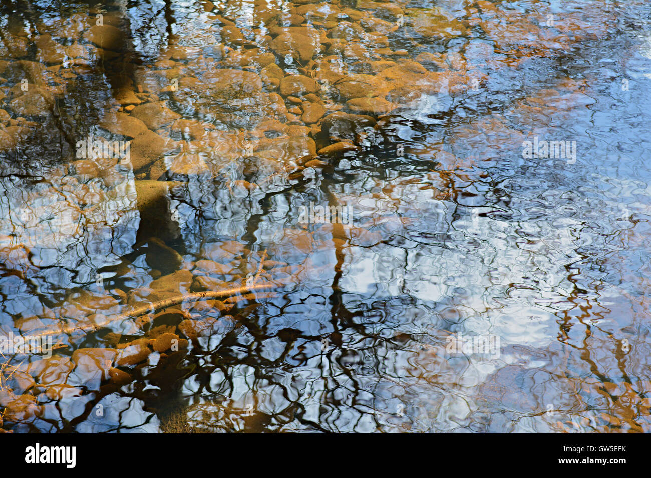 River Abstracts, River Loxley, Bradfield, England, UK Stock Photo - Alamy