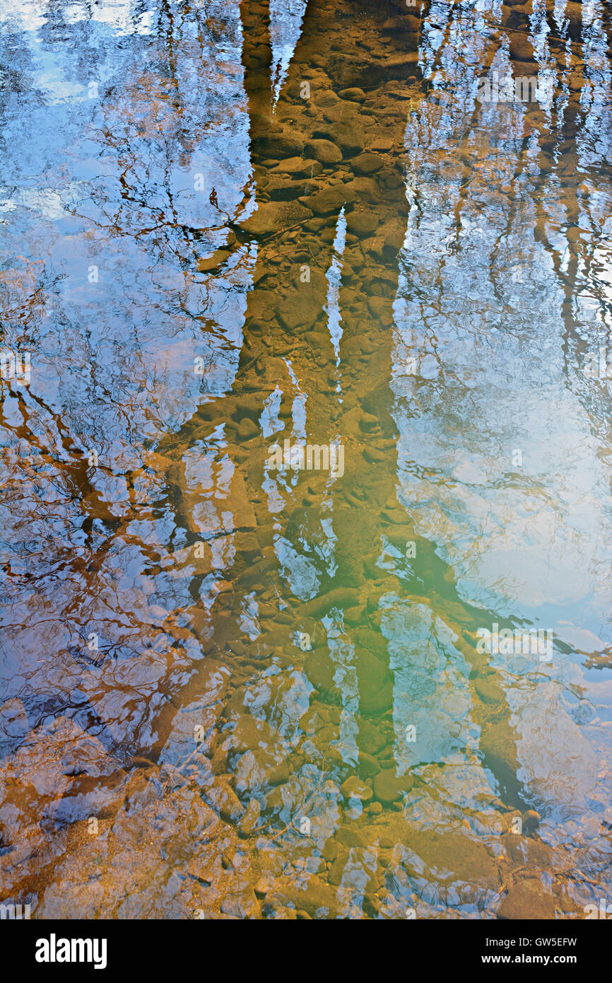 River Abstracts, River Loxley, Bradfield, England, UK Stock Photo - Alamy