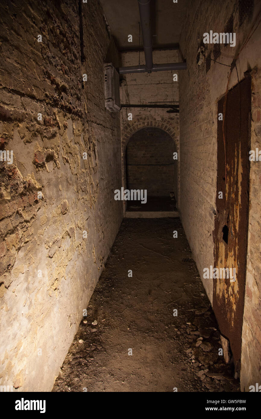 Messel family hi-res stock photography and images - Alamy