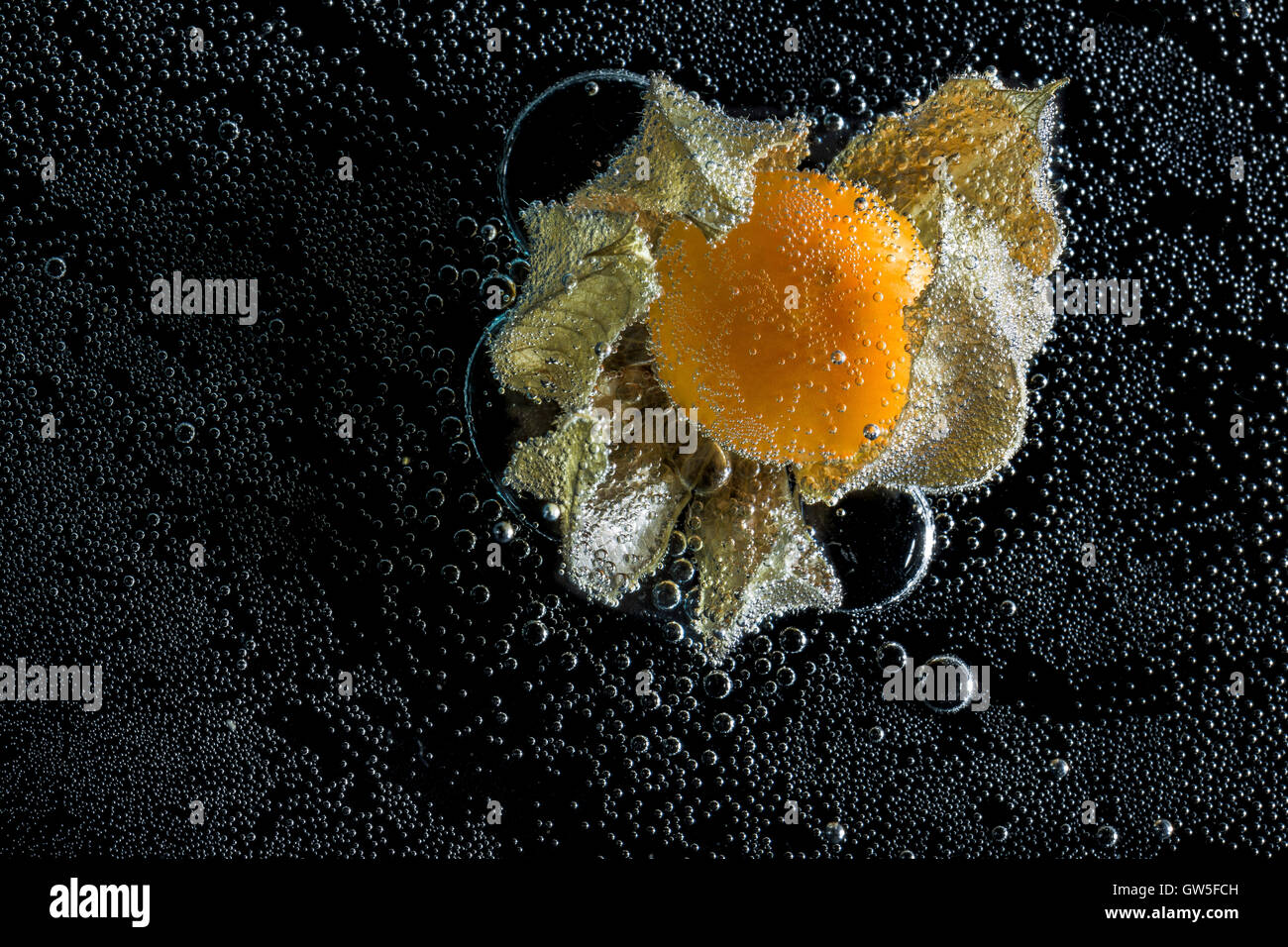 Physalises Stock Photos & Physalises Stock Images - Alamy