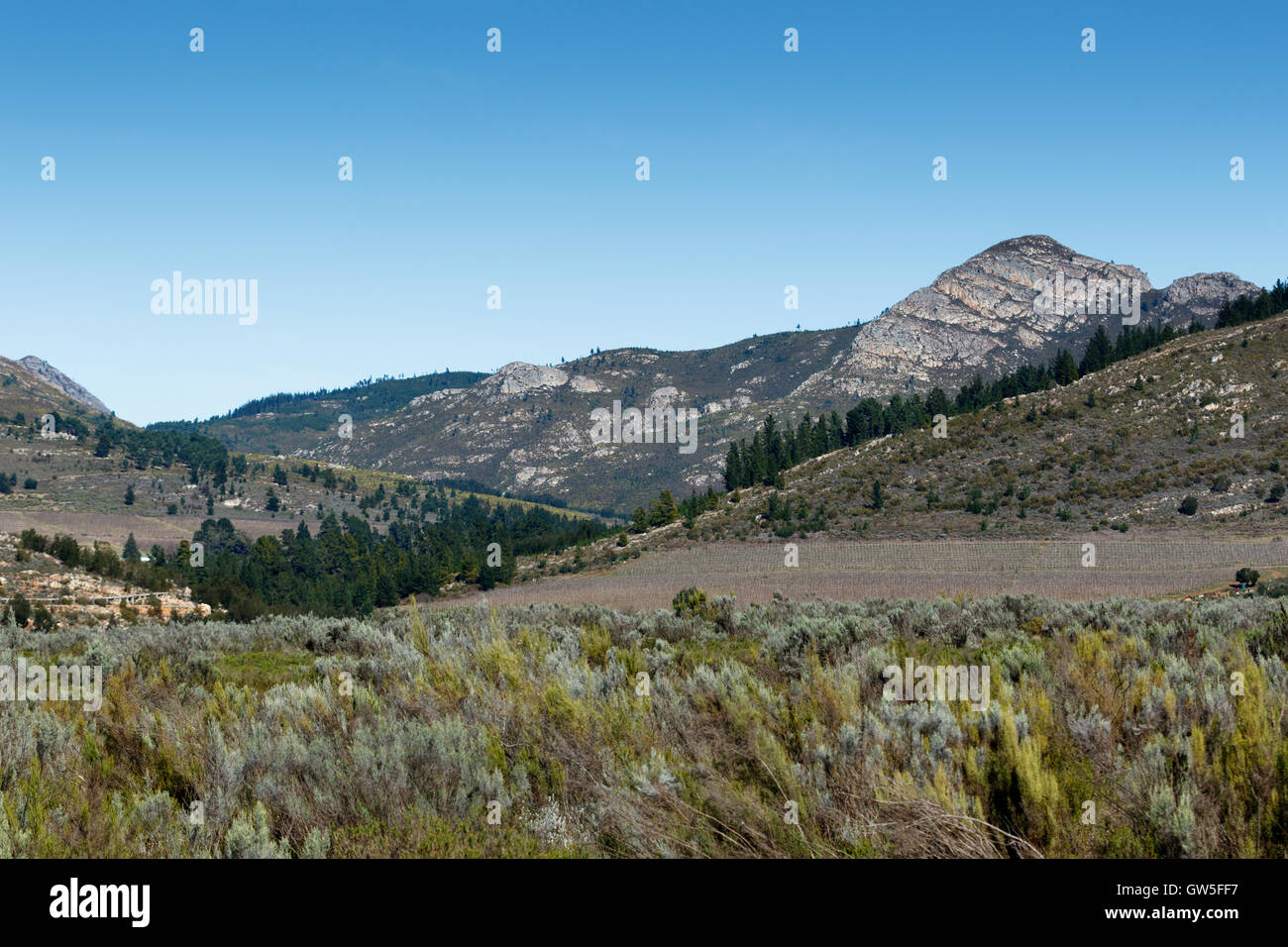 Landscape of South Africa Stock Photo - Alamy