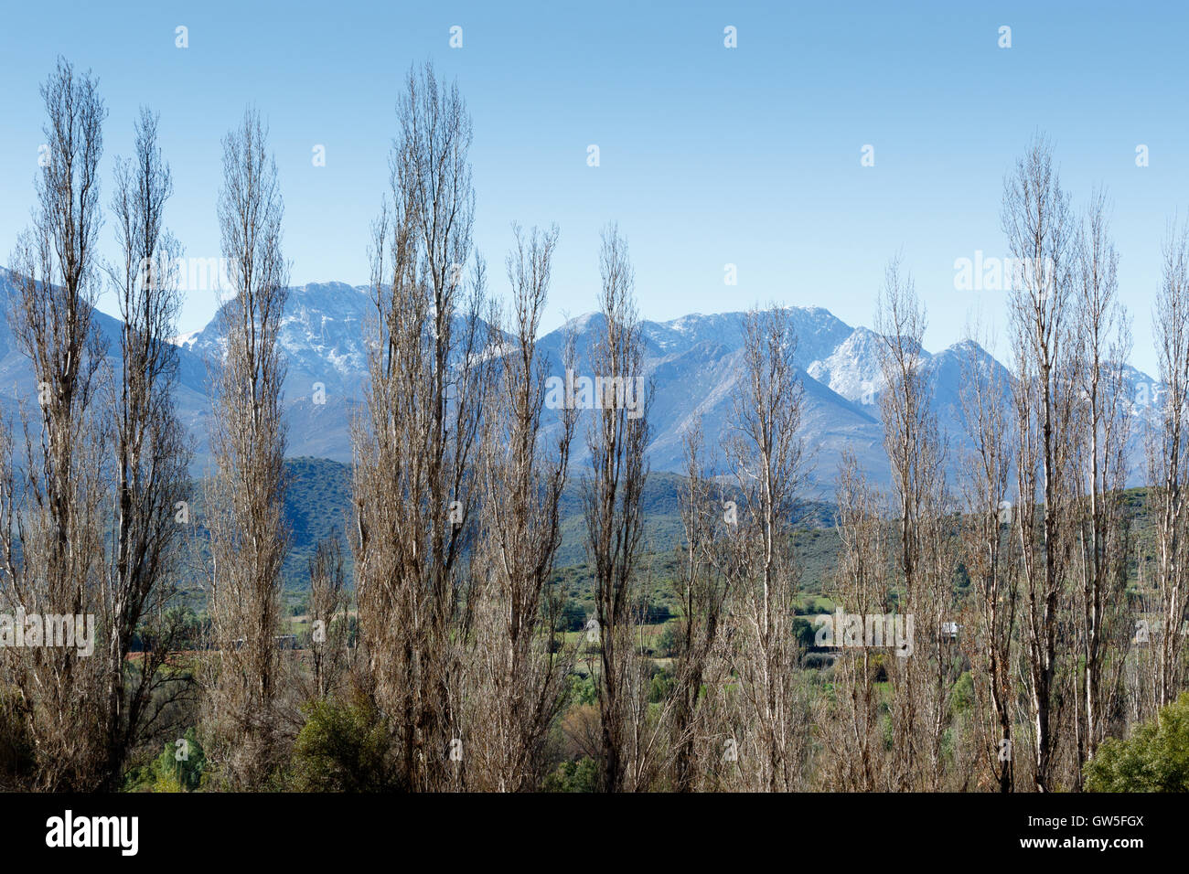 Durust hi-res stock photography and images - Alamy