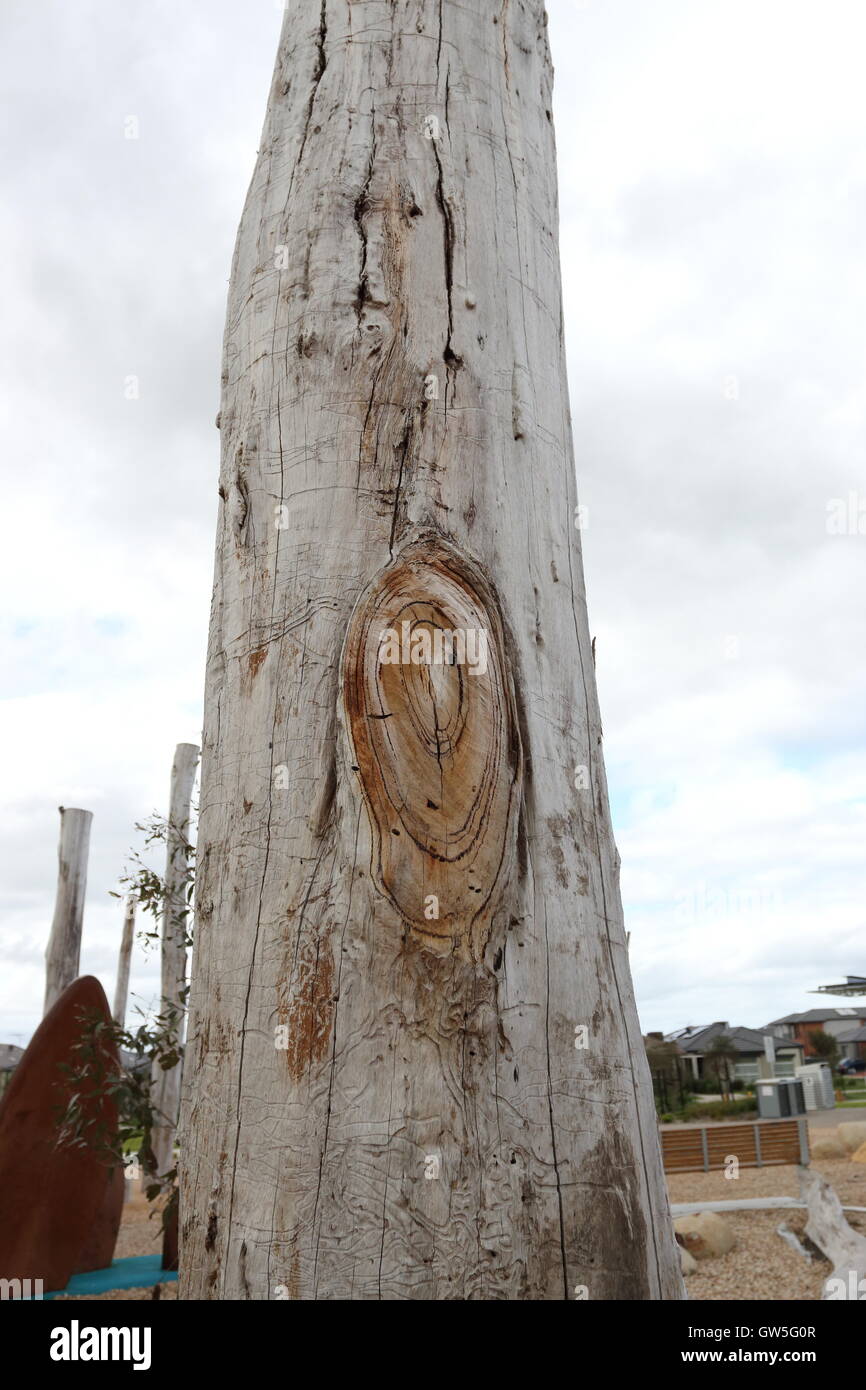 Dead tree trunk as garden decoration Stock Photo - Alamy