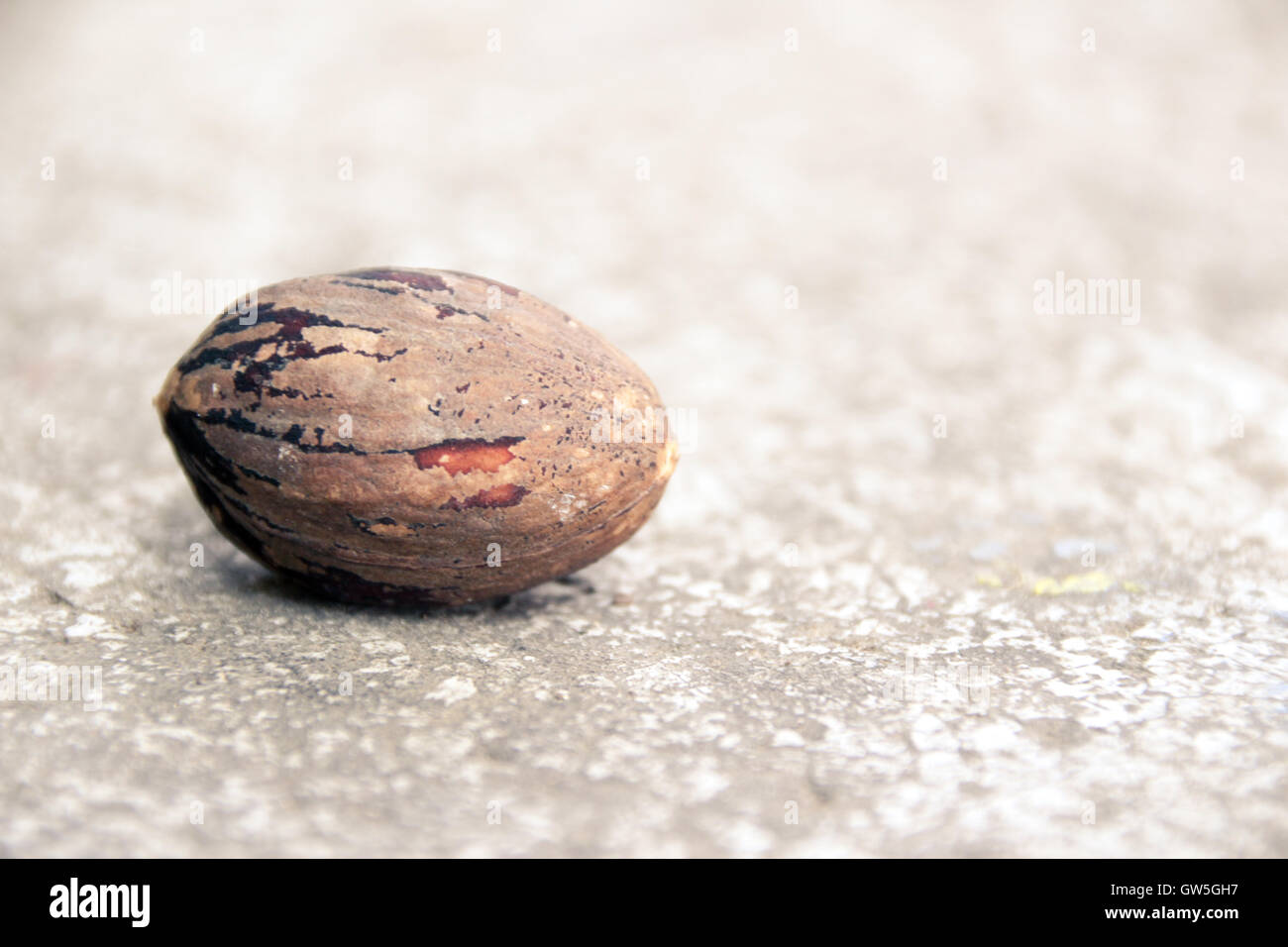 Photograph of a nut on the floor Stock Photo - Alamy