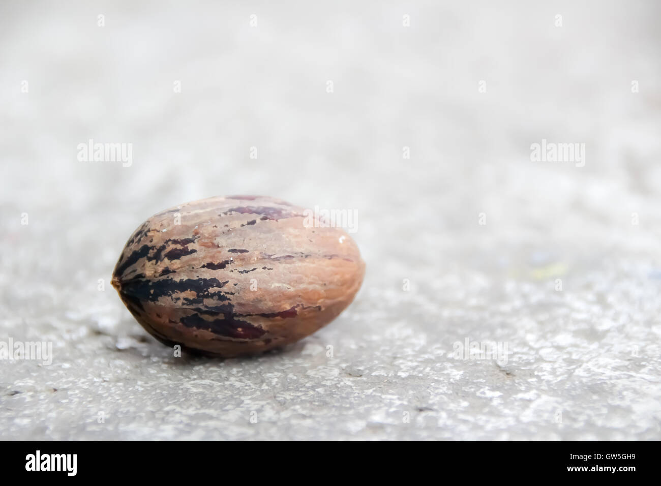 Photograph of a nut on the floor Stock Photo - Alamy