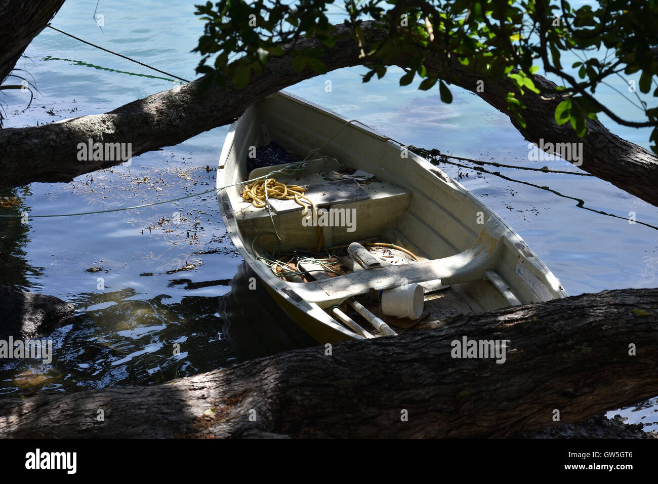 Small plastic dinghy boat on calm water under shadow of tree branches ...