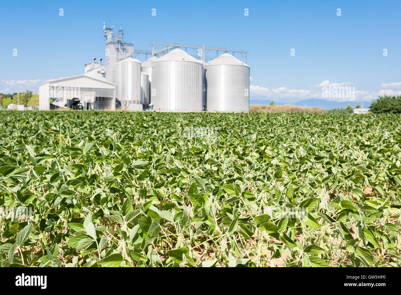 Soybean field silos hi-res stock photography and images - Alamy