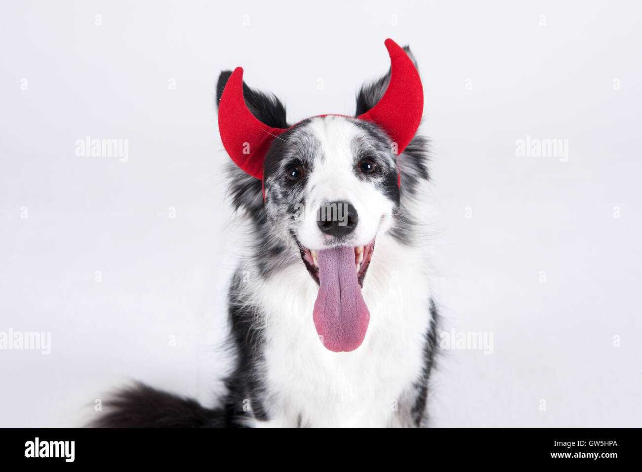 Animal crowd cheering hi-res stock photography and images - Alamy
