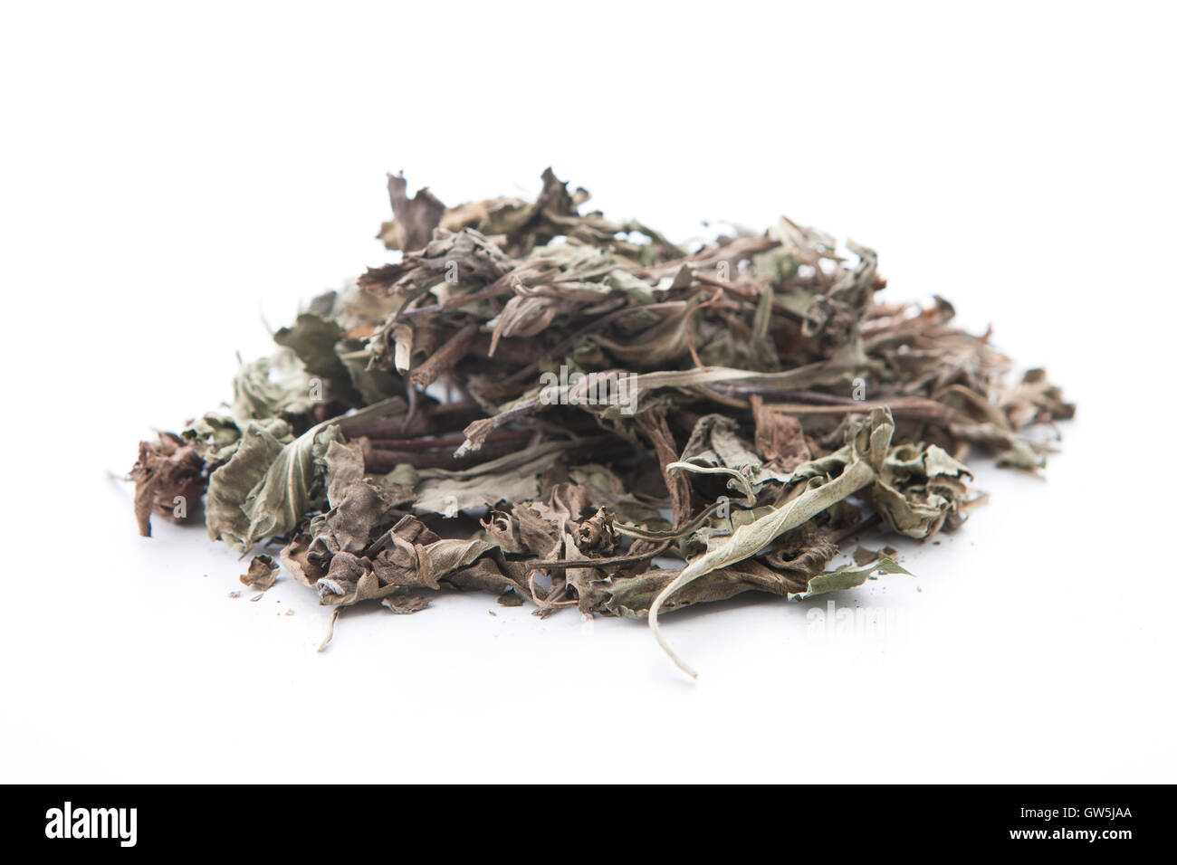 Grass well Cut Out Stock Images & Pictures - Alamy