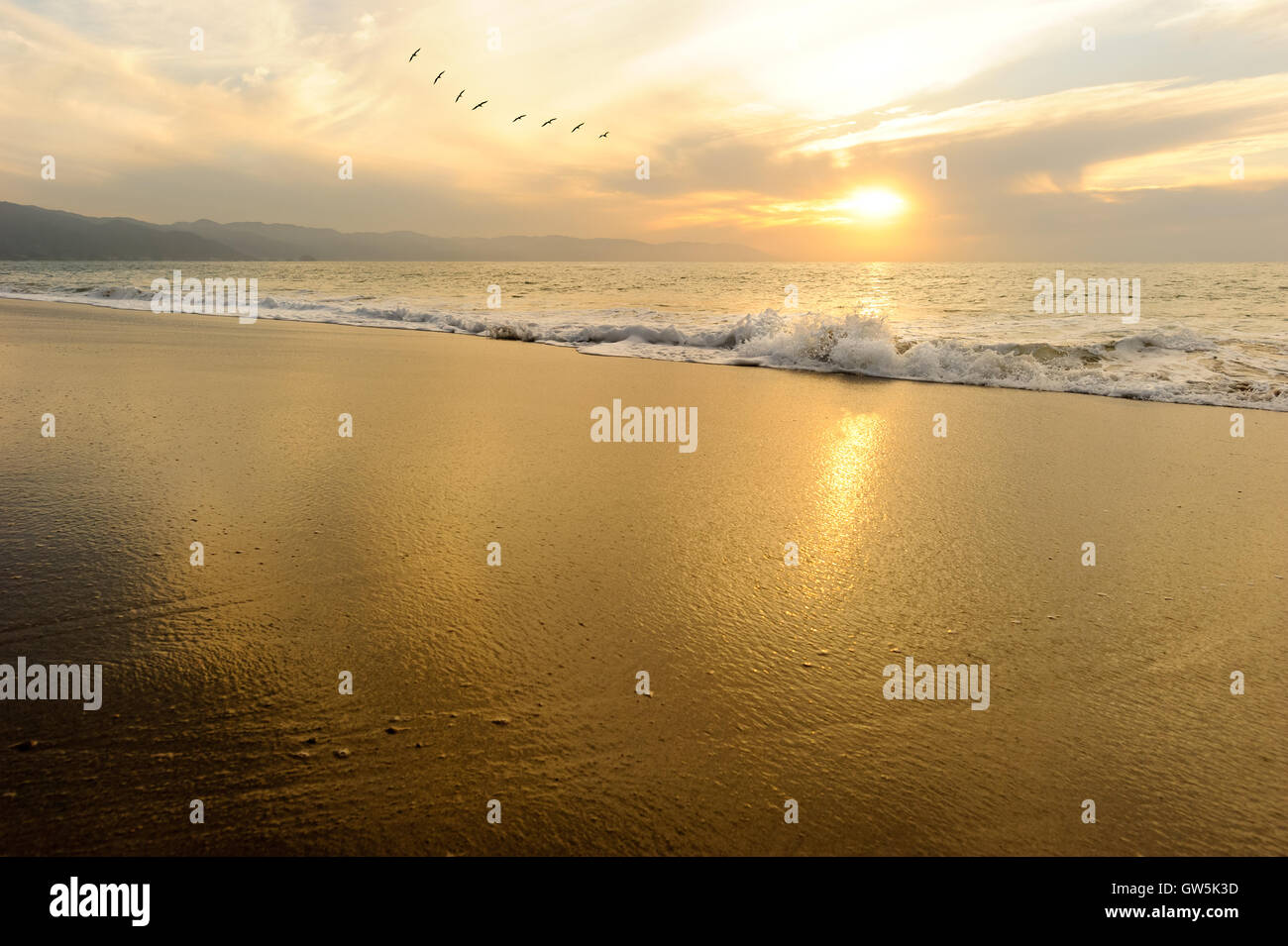 Ocean sunset is a brightly lit golden seascape with a gentle wave ...