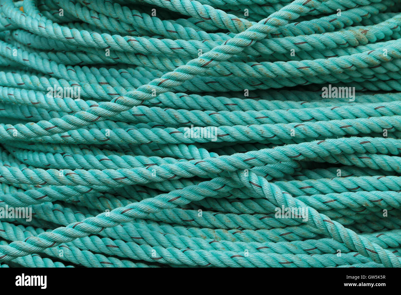 green rope coiled Stock Photo - Alamy