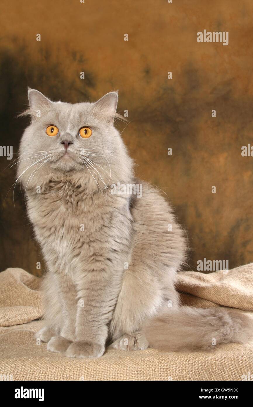 Sitting sack hi-res stock photography and images - Alamy