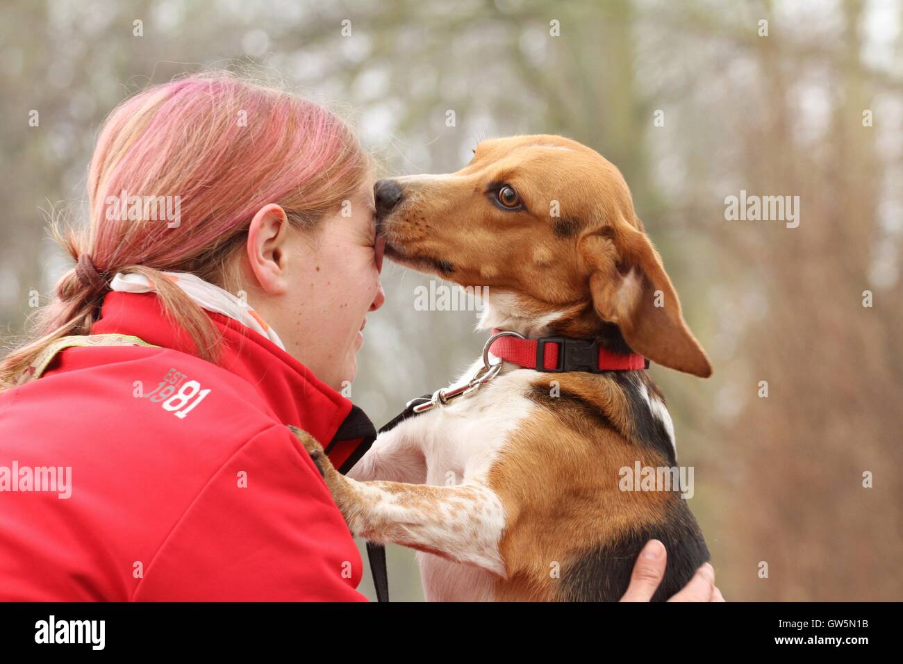 woman and Beagle Stock Photo - Alamy