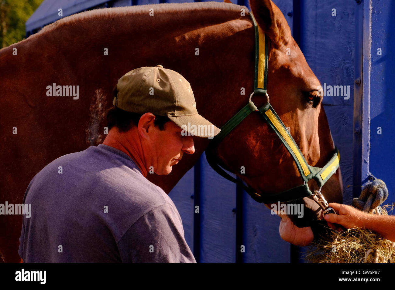 Handsome farrier hi-res stock photography and images - Alamy
