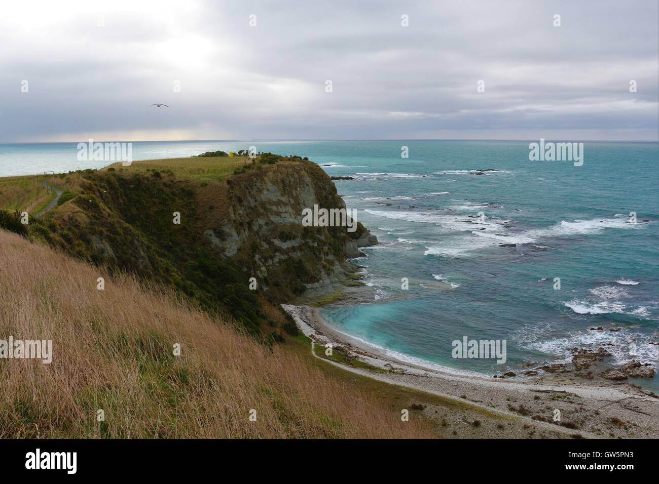 Kaikoura, South Island, Canterbury, New Zealand Stock Photo - Alamy