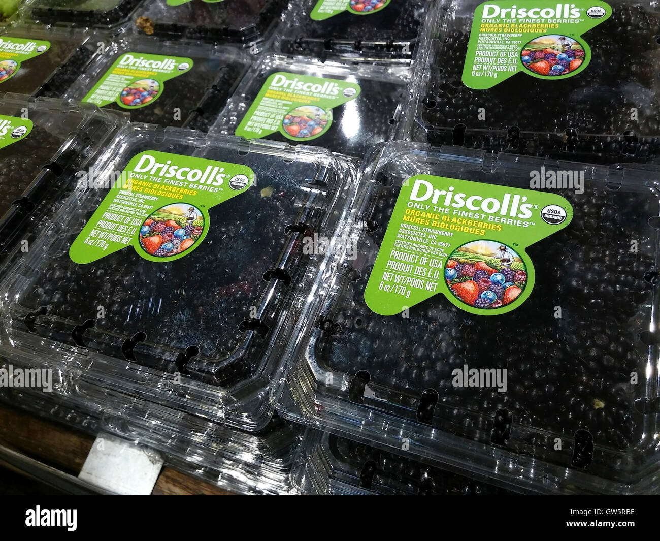 Containers of Driscoll brand organic blackberries in a supermarket in ...