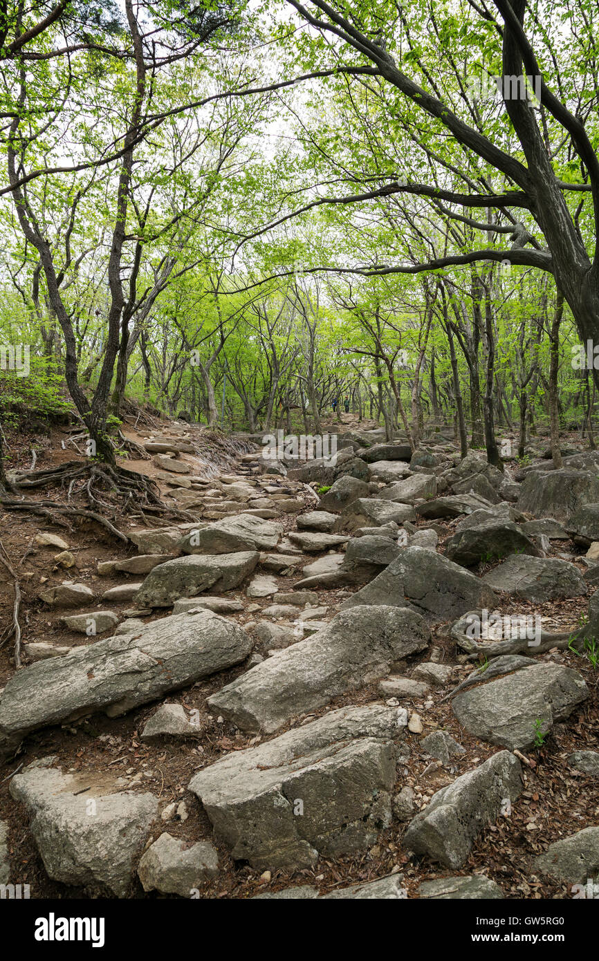 Rocky footpath hi-res stock photography and images - Alamy