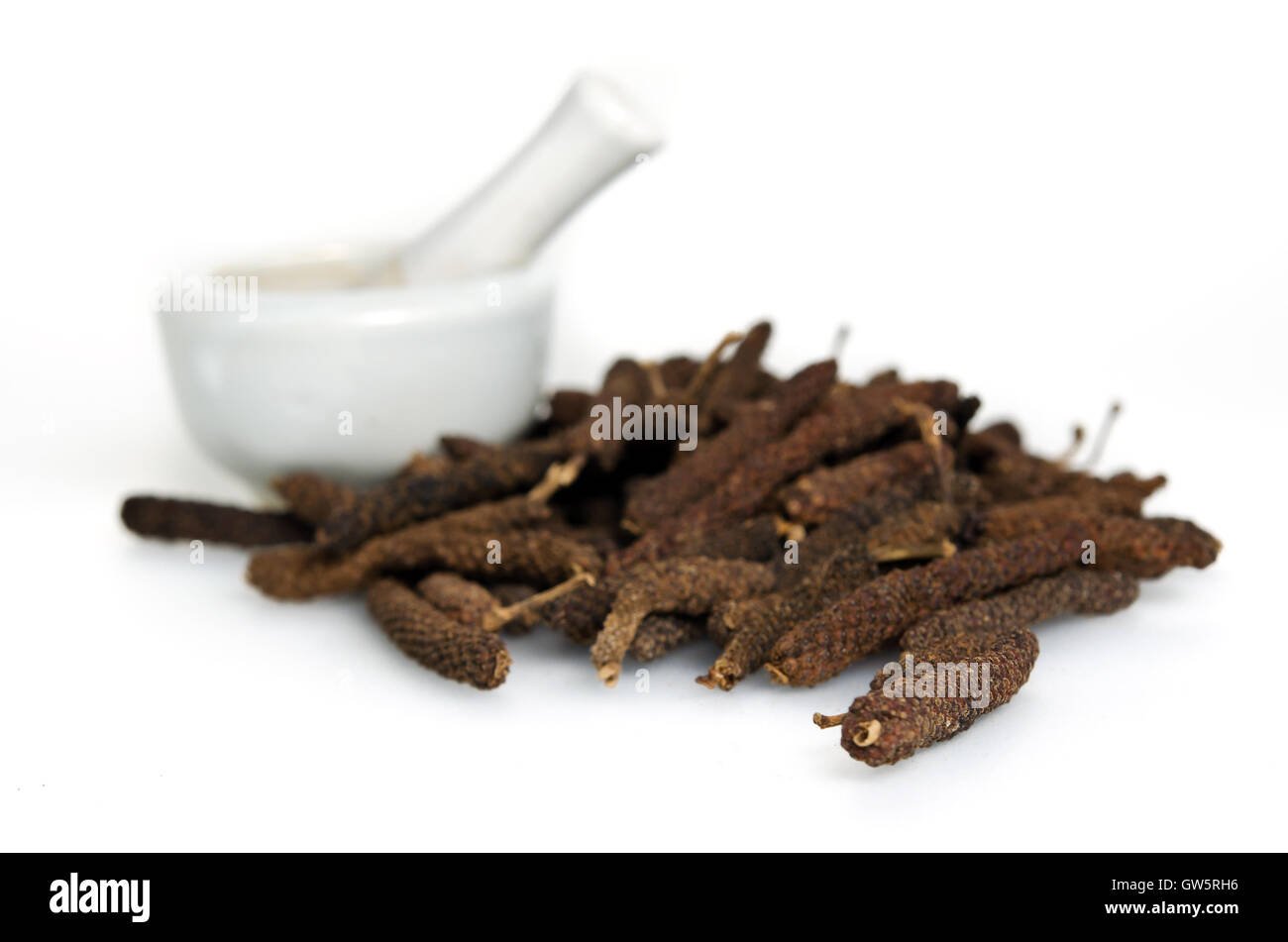 Long black pepper (Also called as Pipli in Indian, capsicum frutescens ...