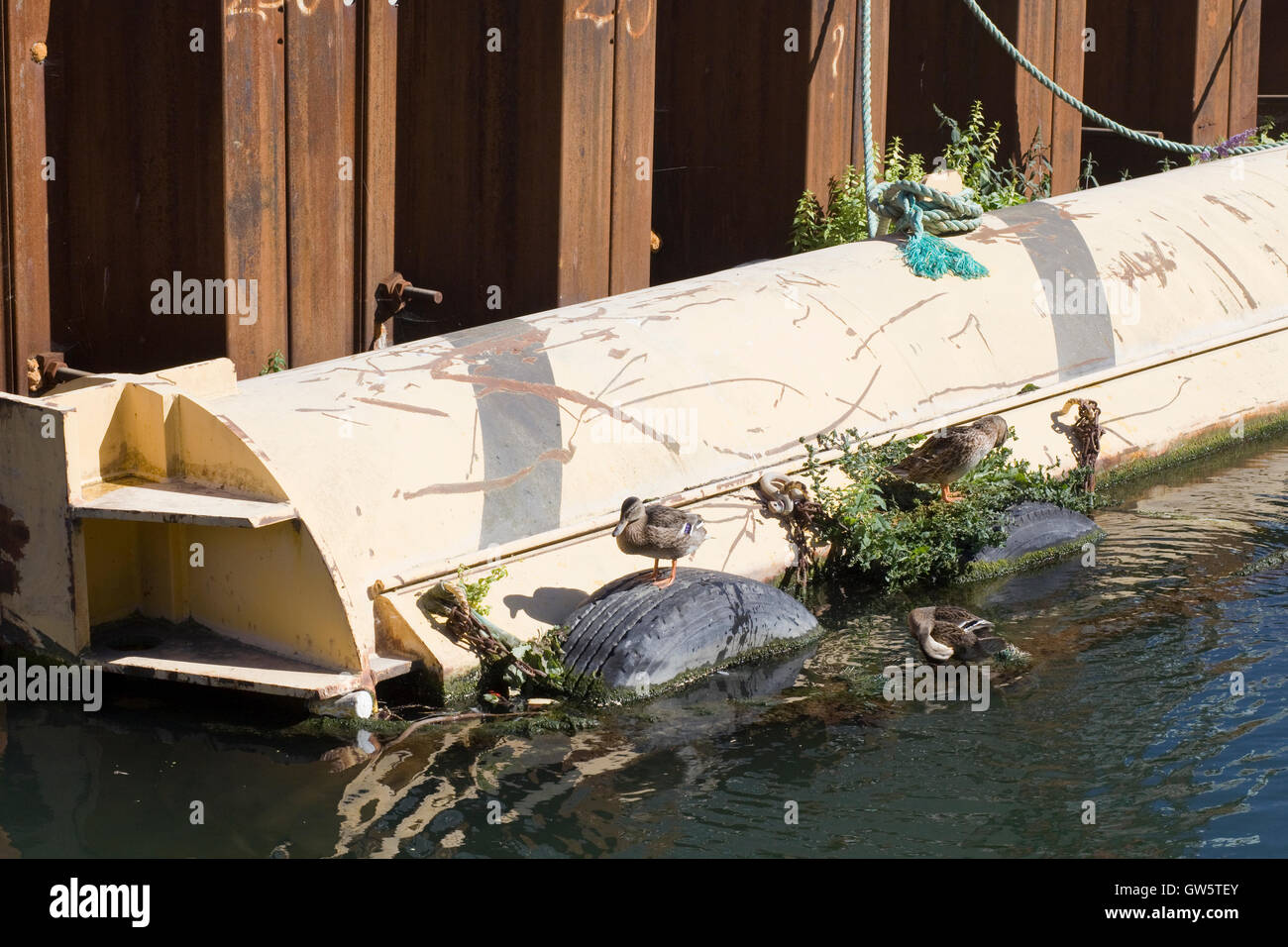 Flotation Tanks adjoining a floating dock on the Thames River in London ...