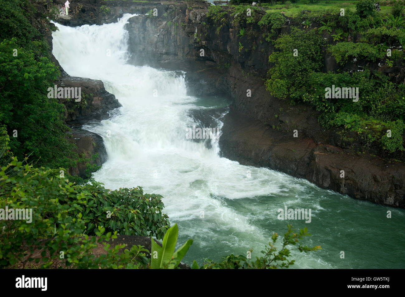 The image of Randha Waterfall in Bhandardara, Maharashtra, western ...