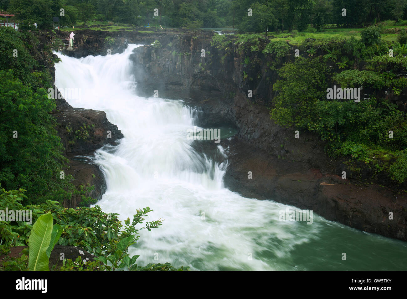 The image of Randha Waterfall in Bhandardara, Maharashtra, western ...