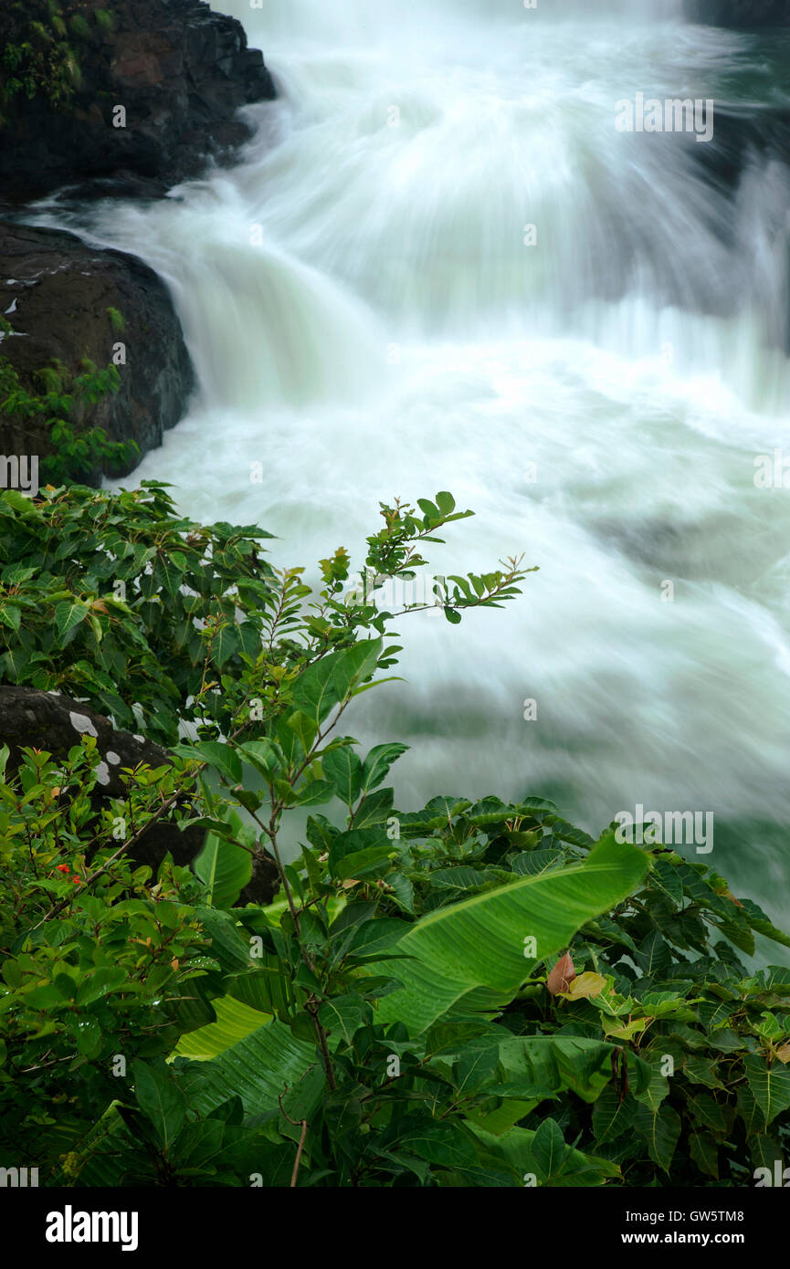 The image of Randha Waterfall in Bhandardara, Maharashtra, western ...