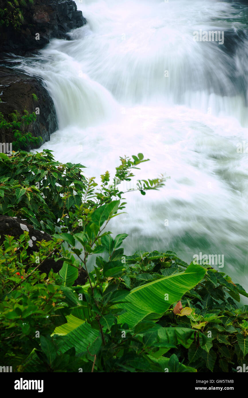 The image of Randha Waterfall in Bhandardara, Maharashtra, western ...