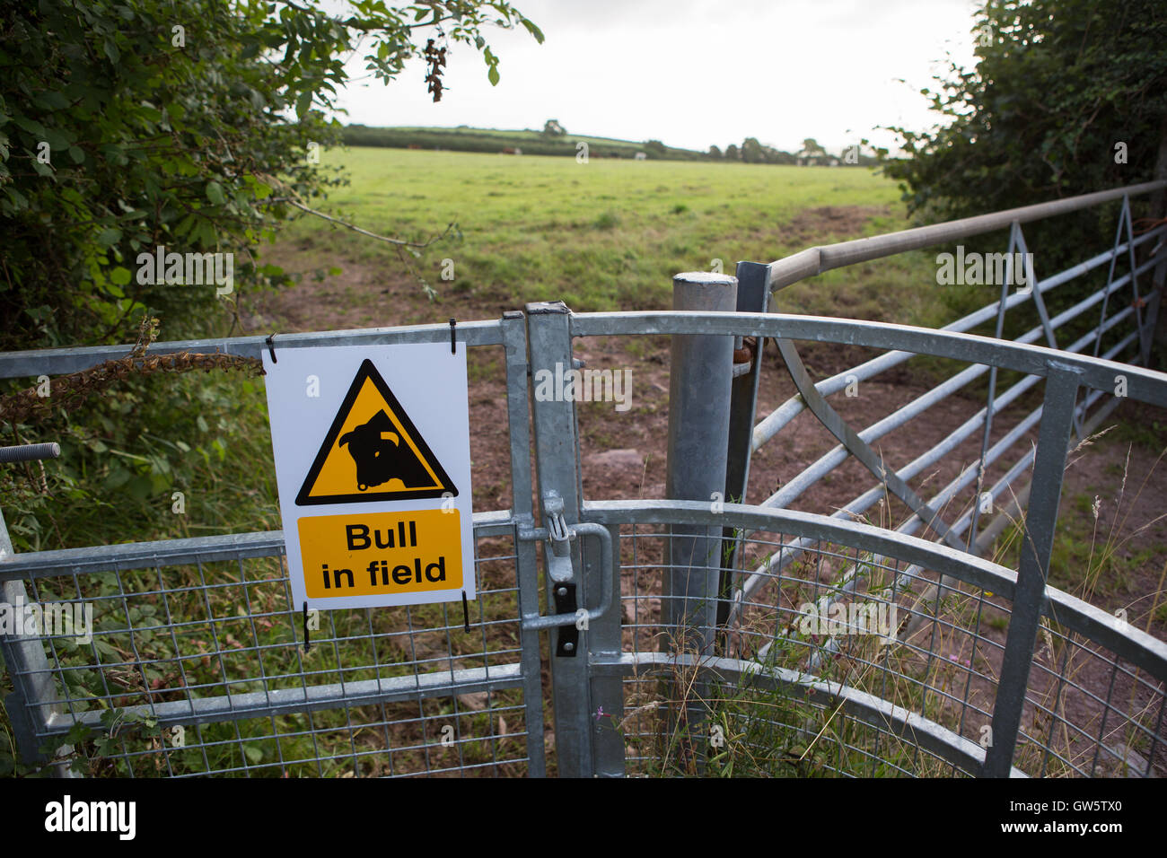 Bull in field sign hi-res stock photography and images - Alamy