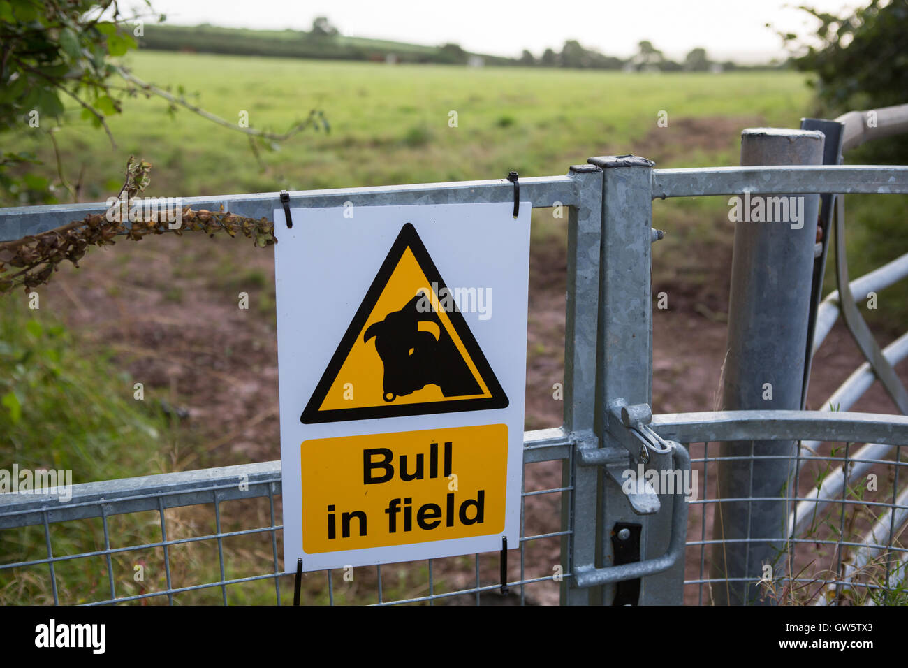 A sign on a gate warning of a bull in a field Stock Photo - Alamy