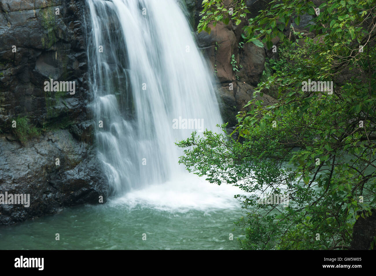 Western Ghats Waterfalls