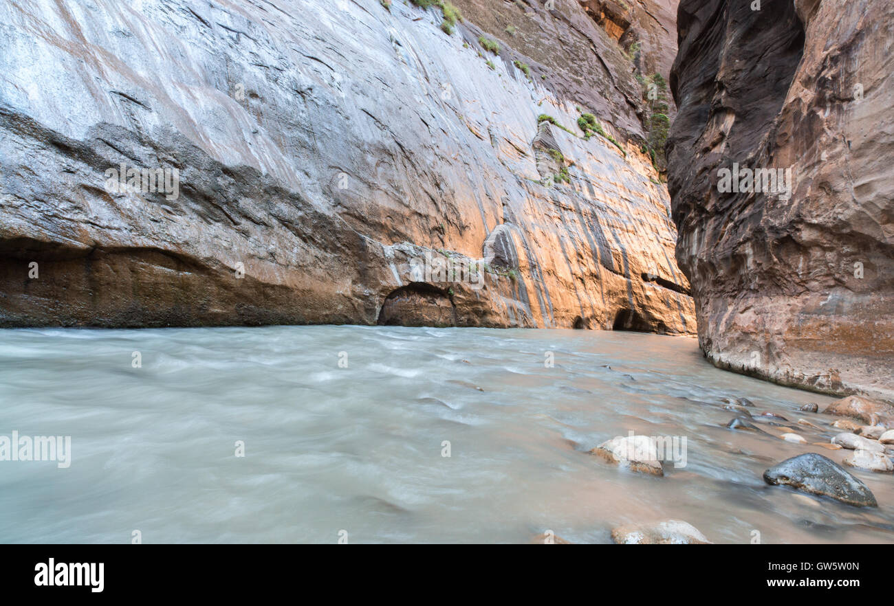 The Narrows of Virgin River, Zion National Park, Utah, USA Stock Photo ...
