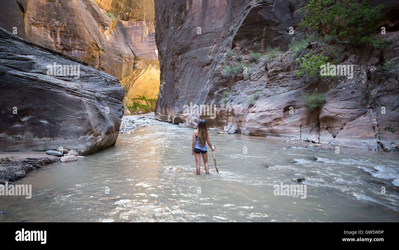 The Narrows of Virgin River, Zion National Park, Utah, USA Stock Photo ...