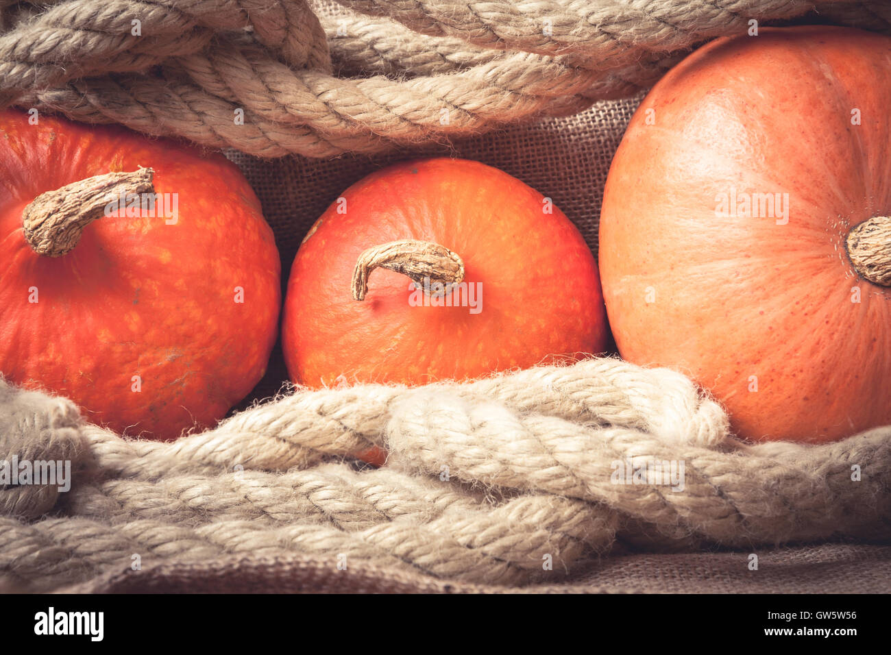 Rustic autumn background with pumpkins and rope frame Stock Photo - Alamy