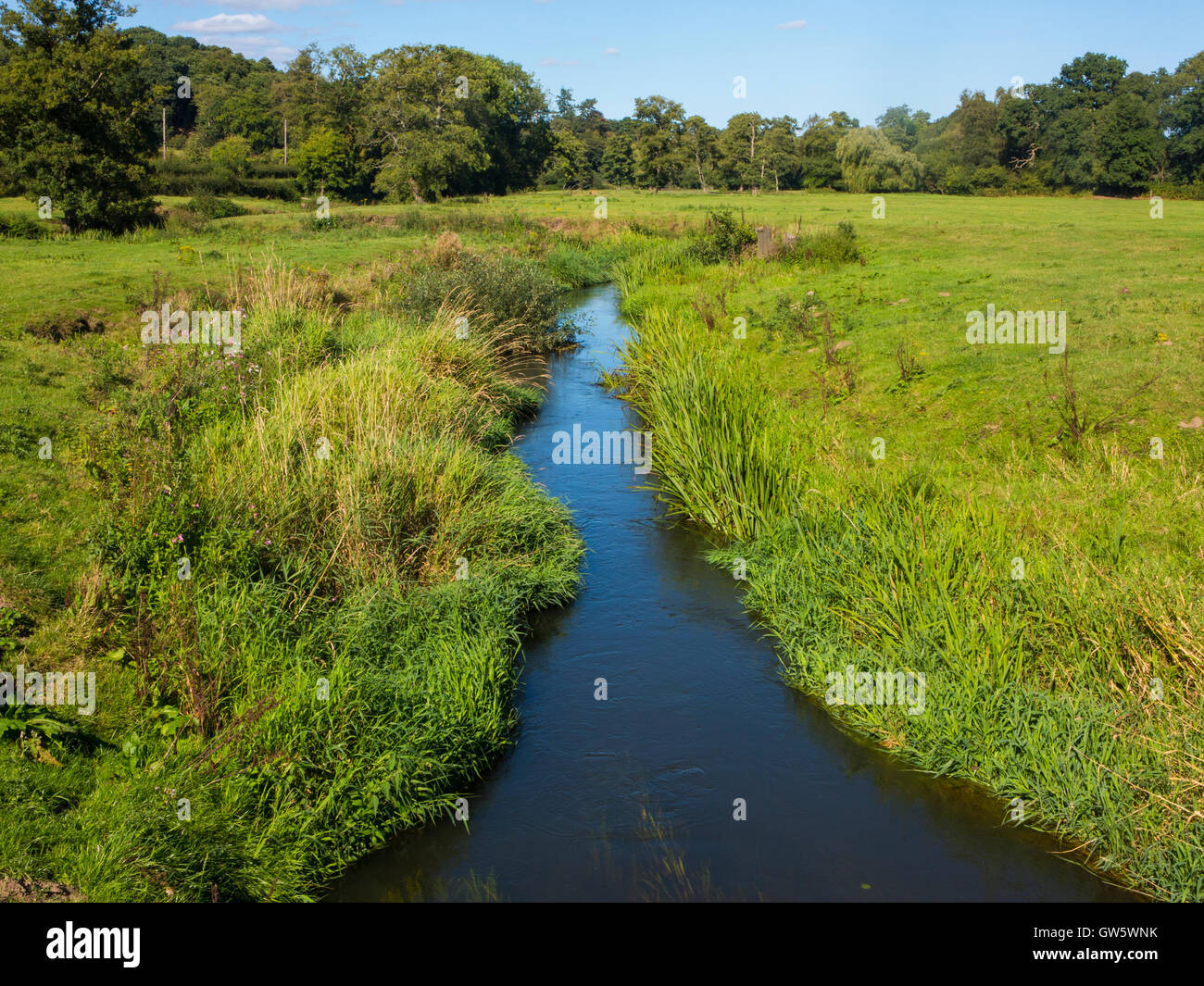 Tributary river lush greenery hi-res stock photography and images - Alamy