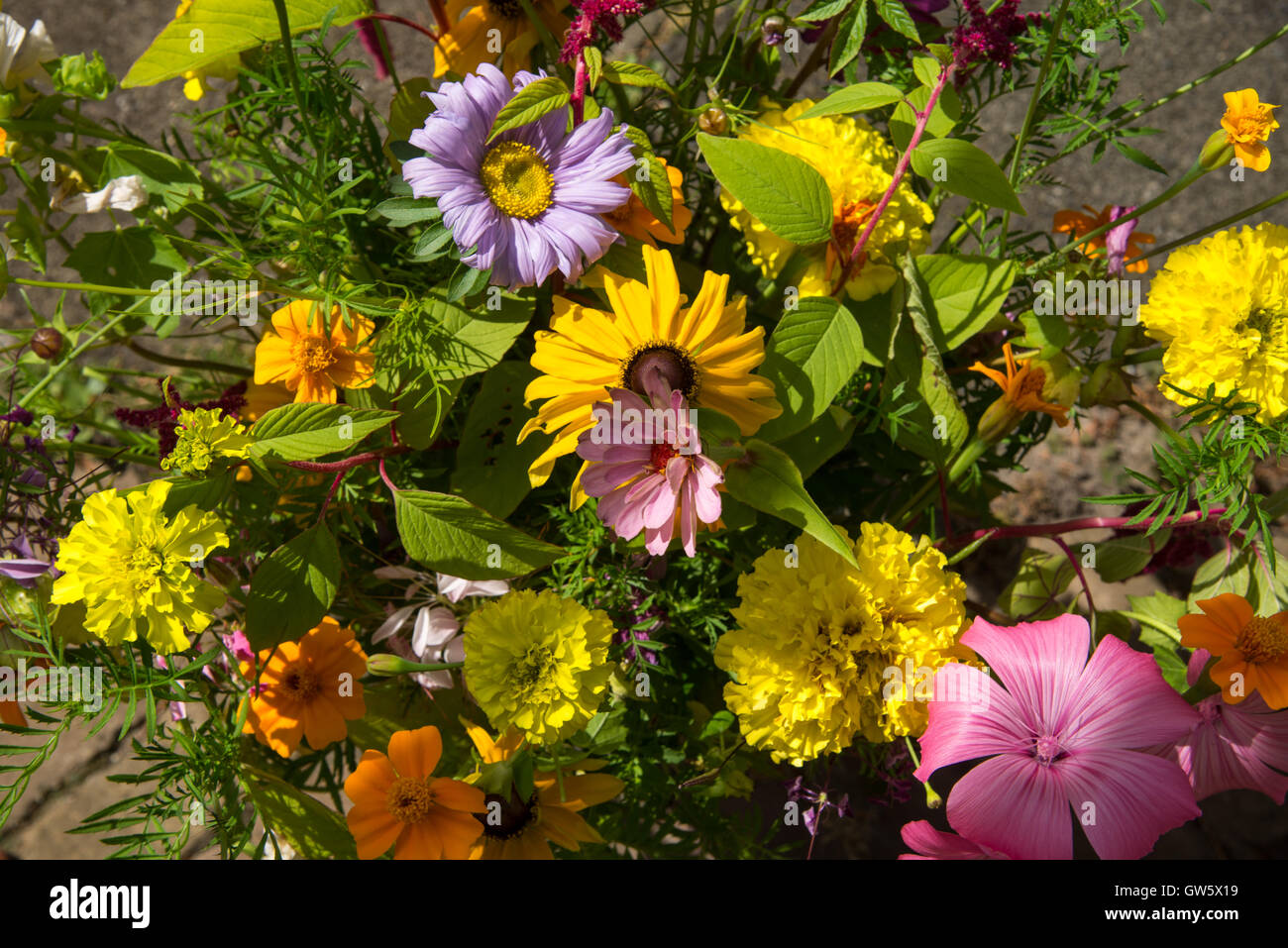 bouquet of colourful wild flowers Stock Photo - Alamy