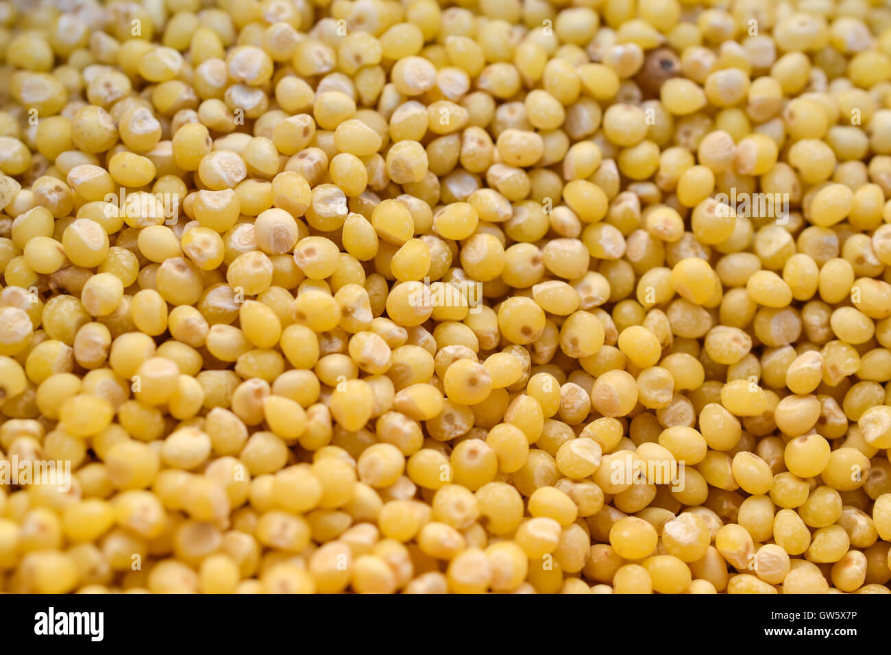 Closeup on bunch of millet from open paper container over wooden table ...
