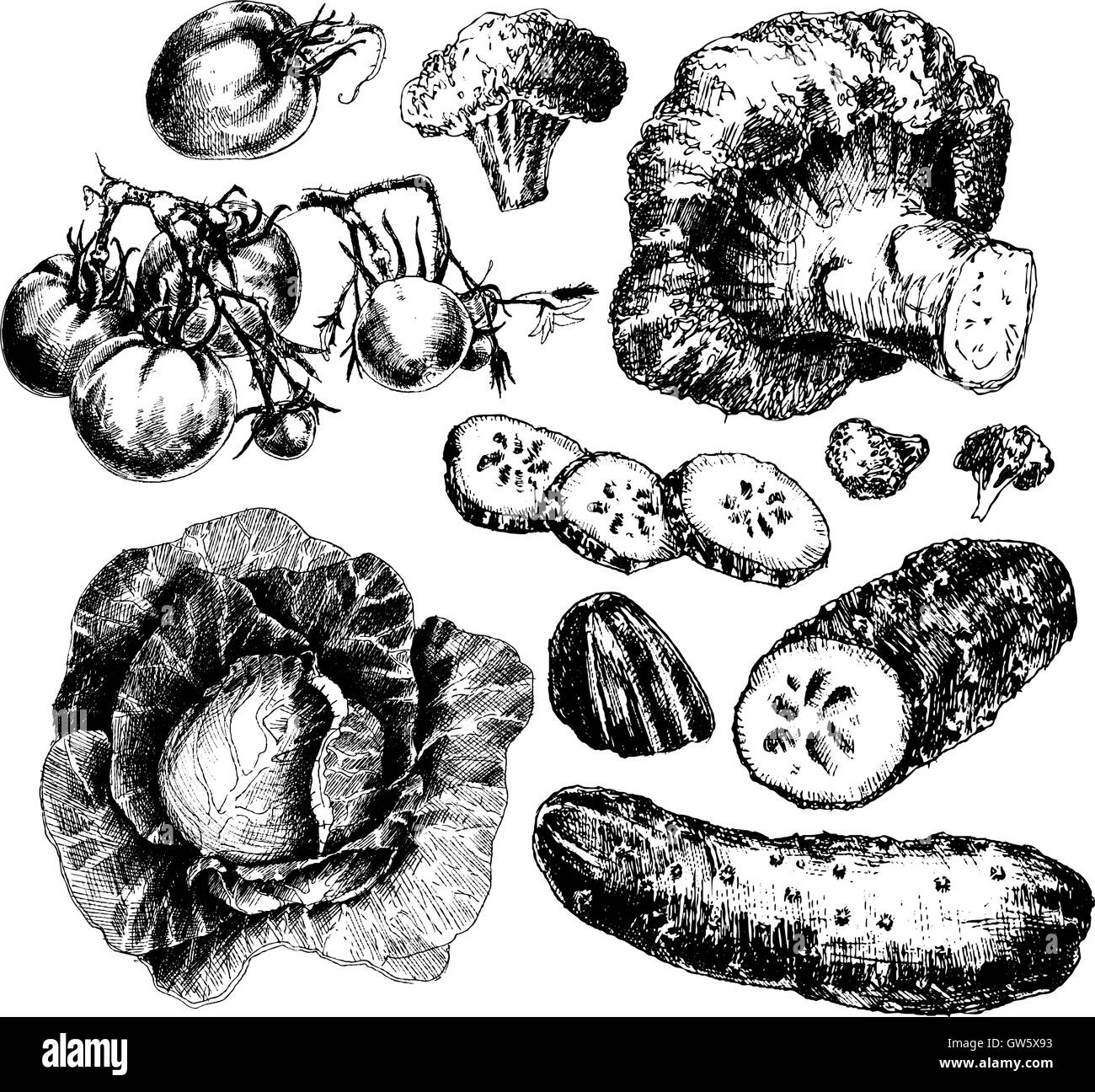 Hand drawn vegetables Stock Vector Image & Art - Alamy